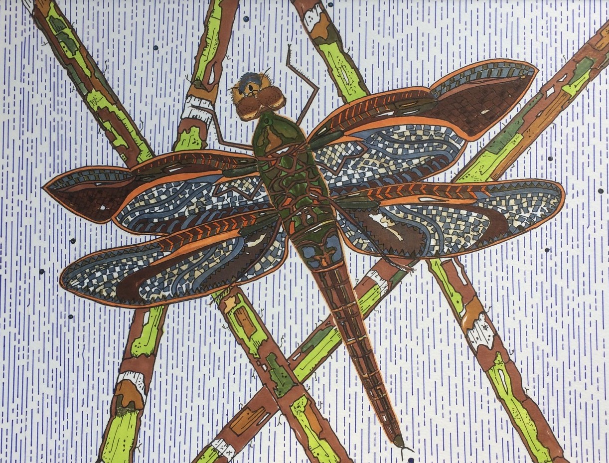 The Val Carter Wildlife Competition - Fareham Art Group